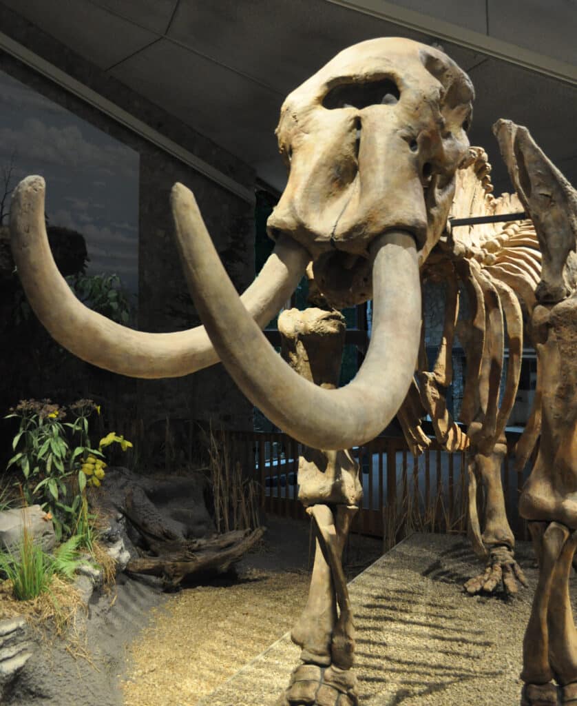Visit Northeast Missouri’s Hidden Gems • Missouri Life Magazine