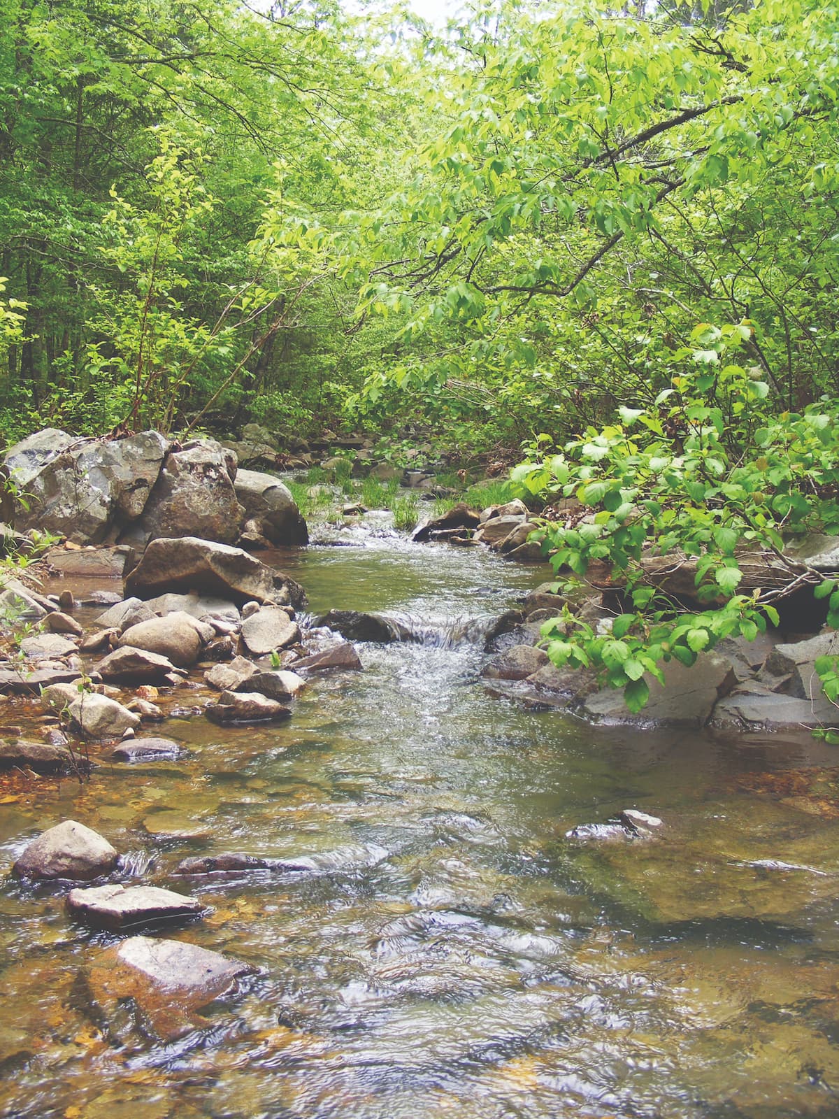 Mountain’s Gonna Sing at Sam A. Baker State Park • Missouri Life Magazine