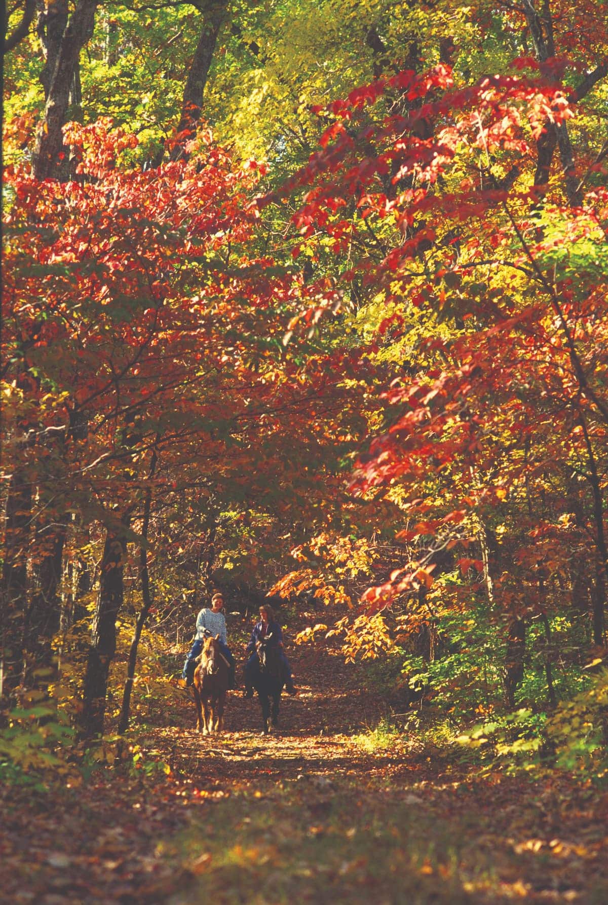 Mountain’s Gonna Sing at Sam A. Baker State Park • Missouri Life Magazine