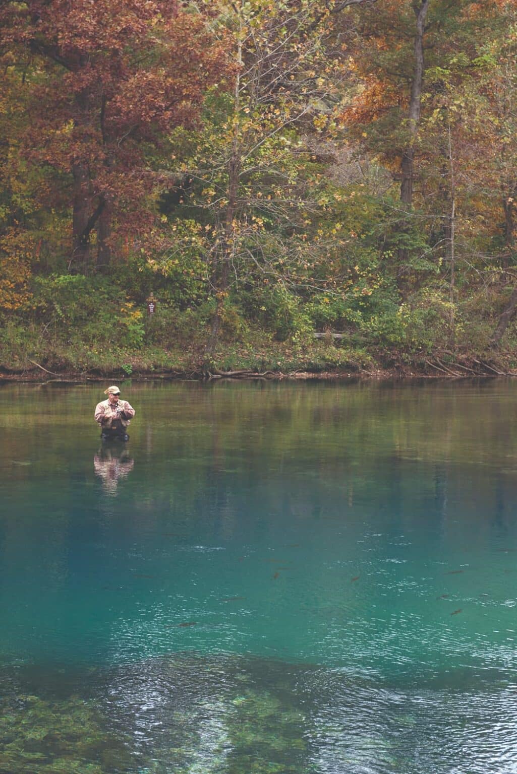 Cast a Line at Bennett Springs State Park • Missouri Life Magazine