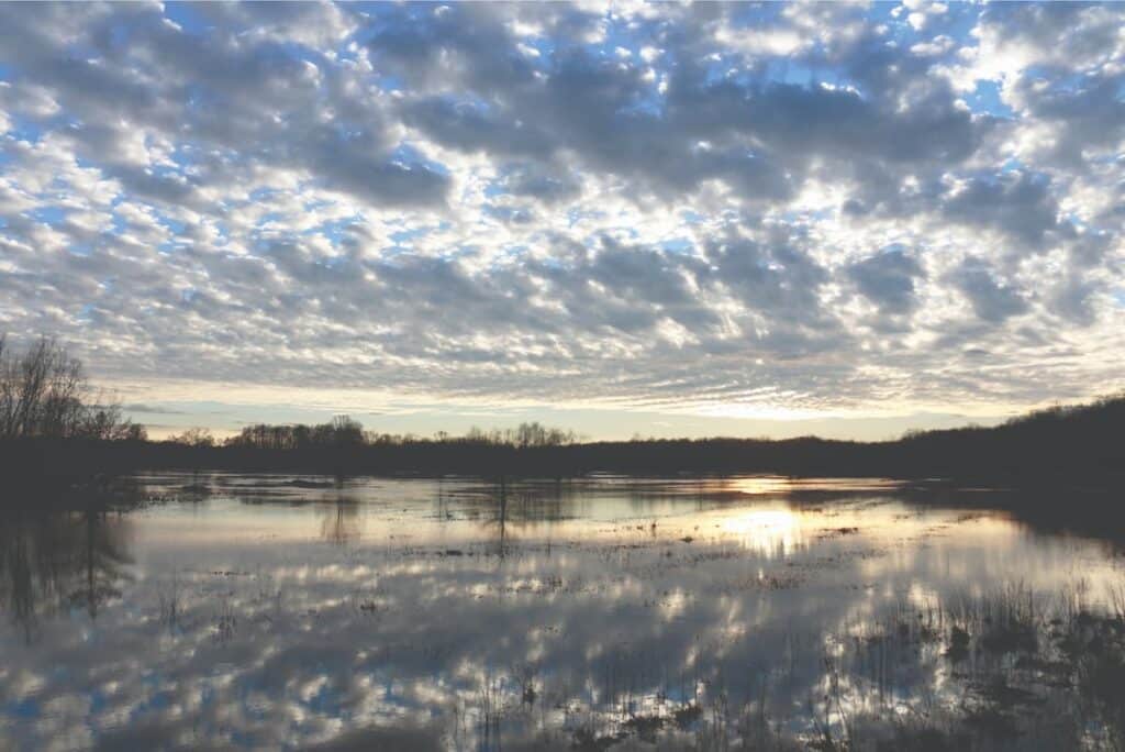 Scenic Rides and Drives: A Kid-Approved Road Trip • Missouri Life Magazine