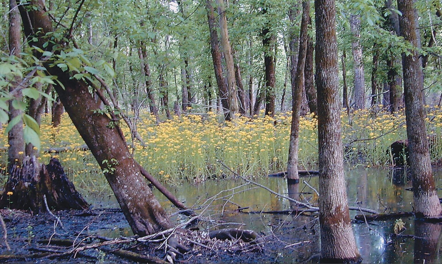 6 Springs in Missouri – Missouri Life